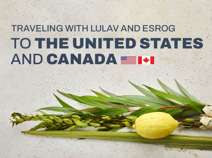 Travelling to Canada or the US with Lulav and Esrog | JCC Montreal